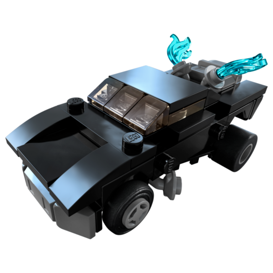 LEGO® DC Super Heroes | I'm Rick James Bricks